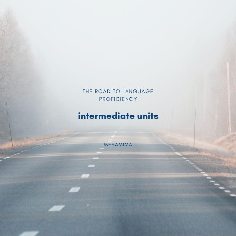 B: Mid Level Units – MesaMima