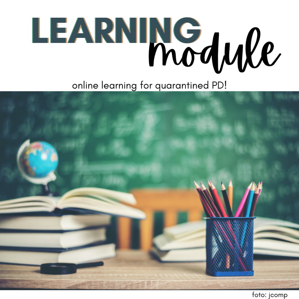Learning Module - MesaMima